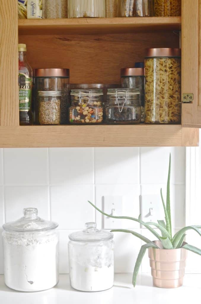 Get Rid of Pantry Moths... For Good! - At Charlotte's House