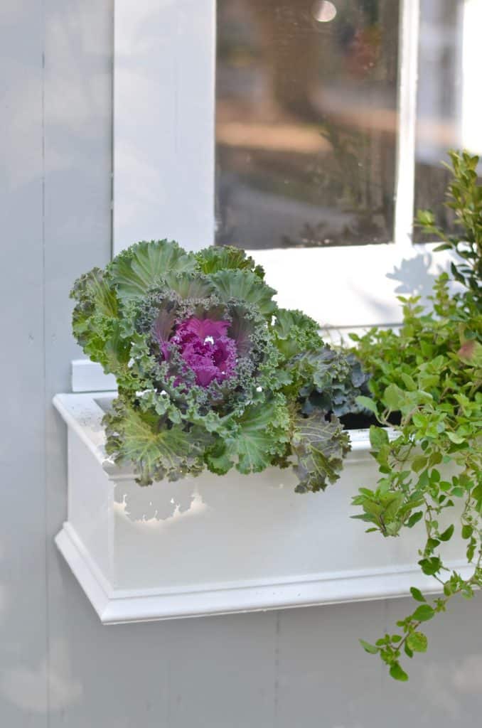 diy-cedar-window-boxes-13 - At Charlotte's House