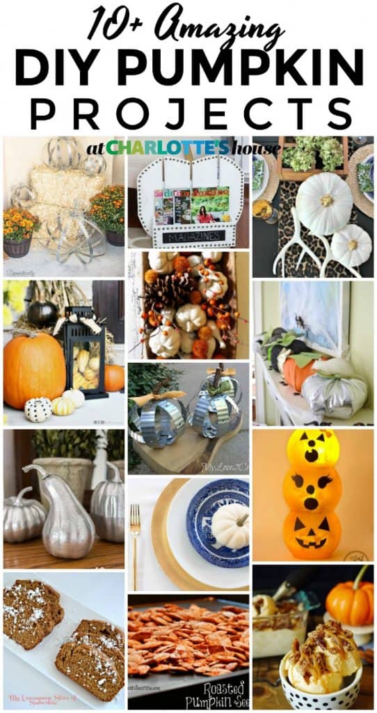 Amazing DIY Pumpkin Projects - At Charlotte's House