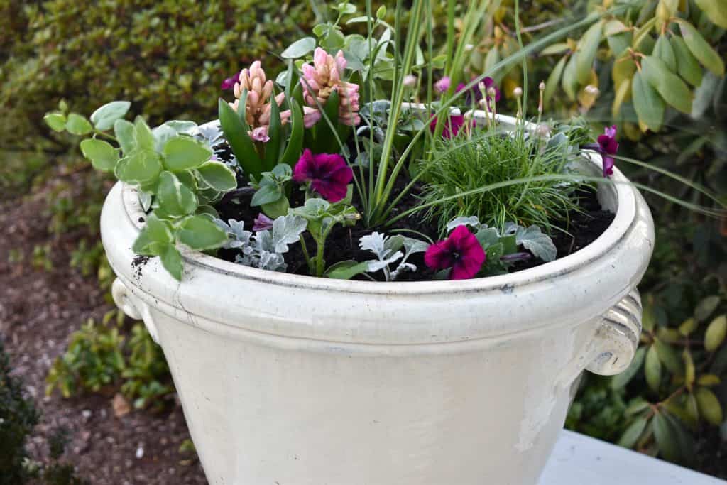 Refreshing Planters for Spring the Lazy Way - At Charlotte's House