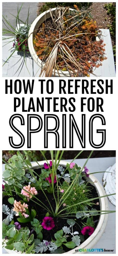 Refreshing Planters for Spring the Lazy Way - At Charlotte's House