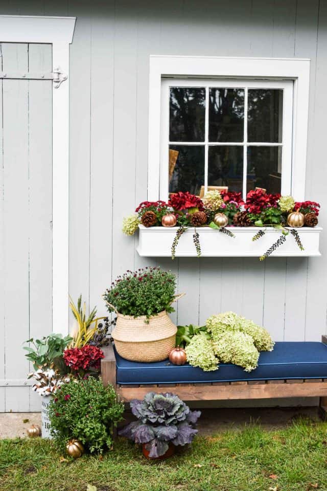 Fall Floral Window Boxes - At Charlotte's House