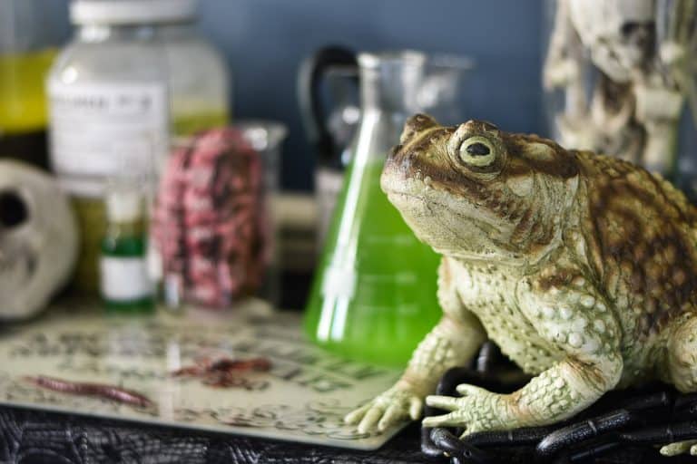 Make a Mad Science Lab With Household Items - At Charlotte's House