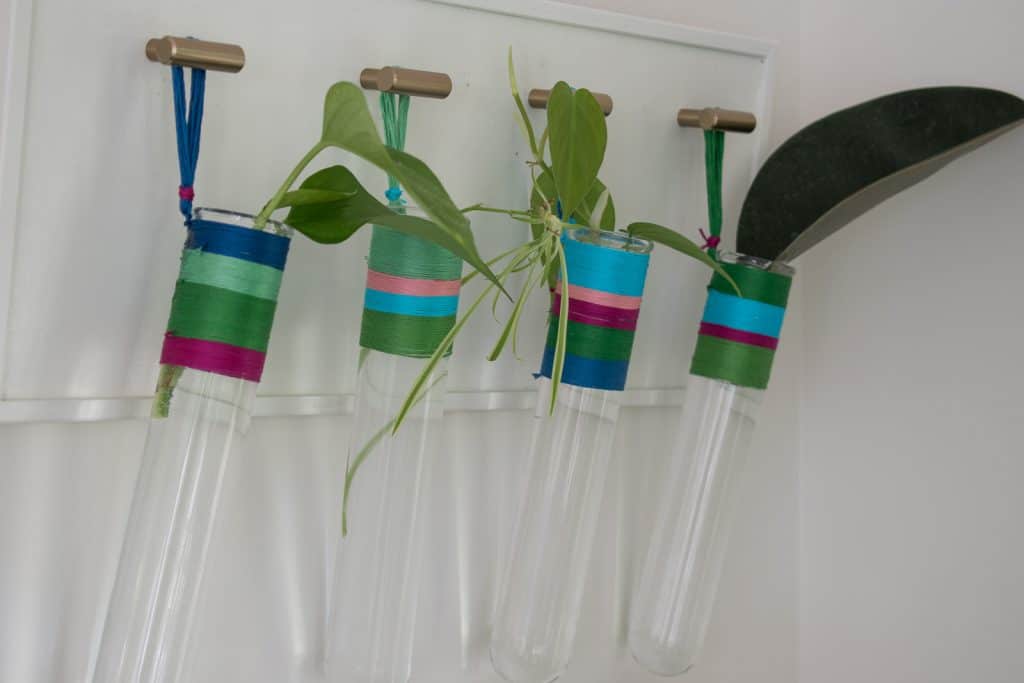 Colorful Propagation Tubes - At Charlotte's House