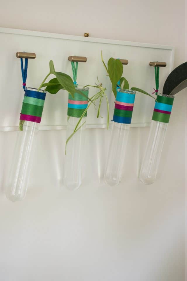 Colorful Plant Propagation Tubes 1600-13 - At Charlotte's House