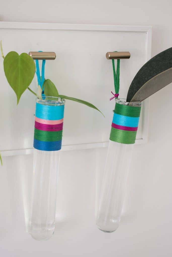 Colorful Propagation Tubes - At Charlotte's House