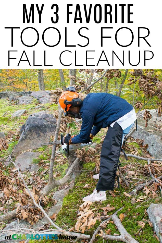 Favorite tools for fall cleanup - At Charlotte's House