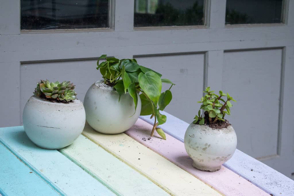 How to Make Easy Cement Orb Planters - At Charlotte's House