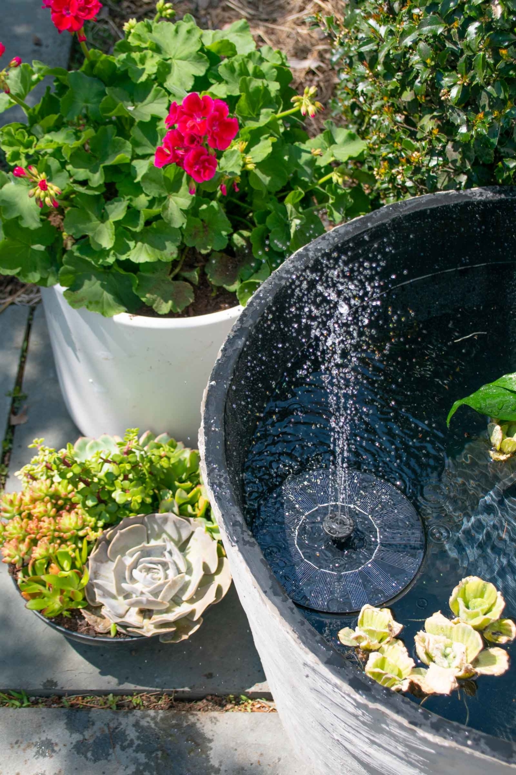 DIY Concrete Container Fountain-27 - At Charlotte's House