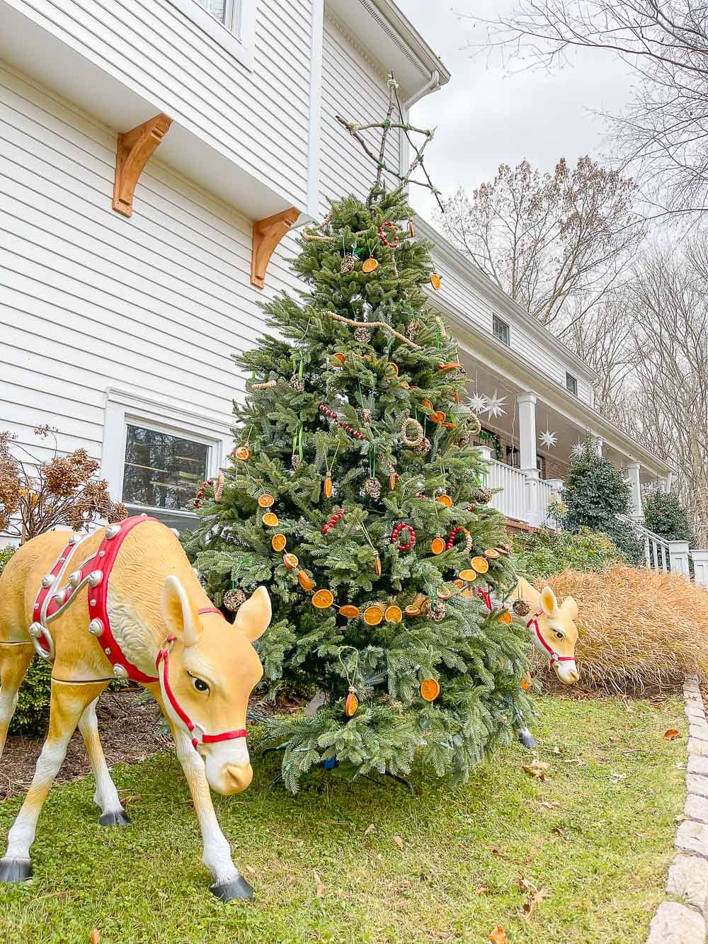 Christmas Tree with Edible Ornaments for the Birds - At Charlotte's House