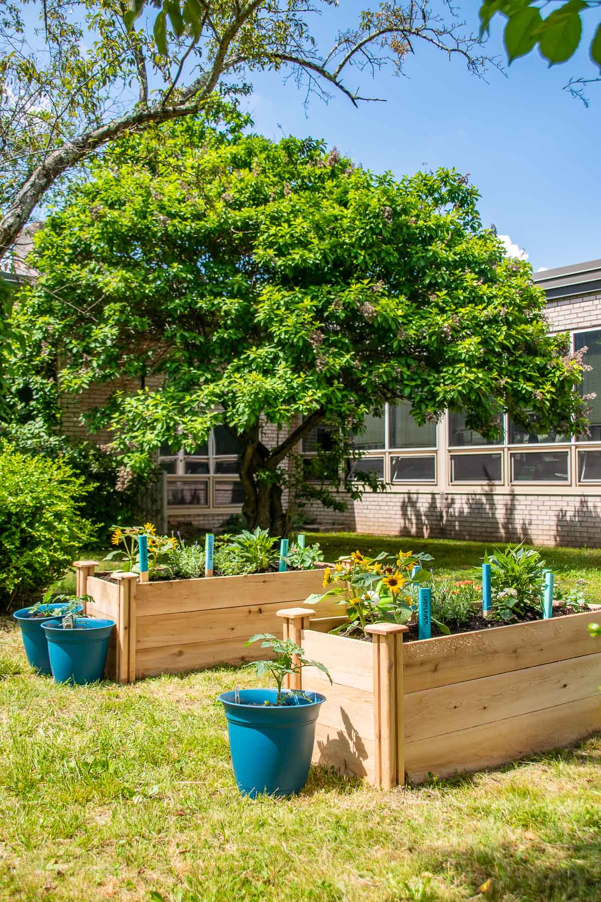 How to Build a Lush Community Garden - At Charlotte's House