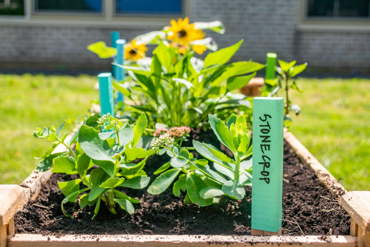 How to Build a Lush Community Garden - At Charlotte's House