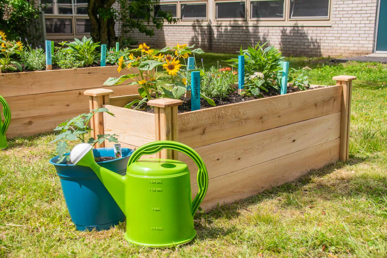 How to Install a Raised Community Garden-29 - At Charlotte's House
