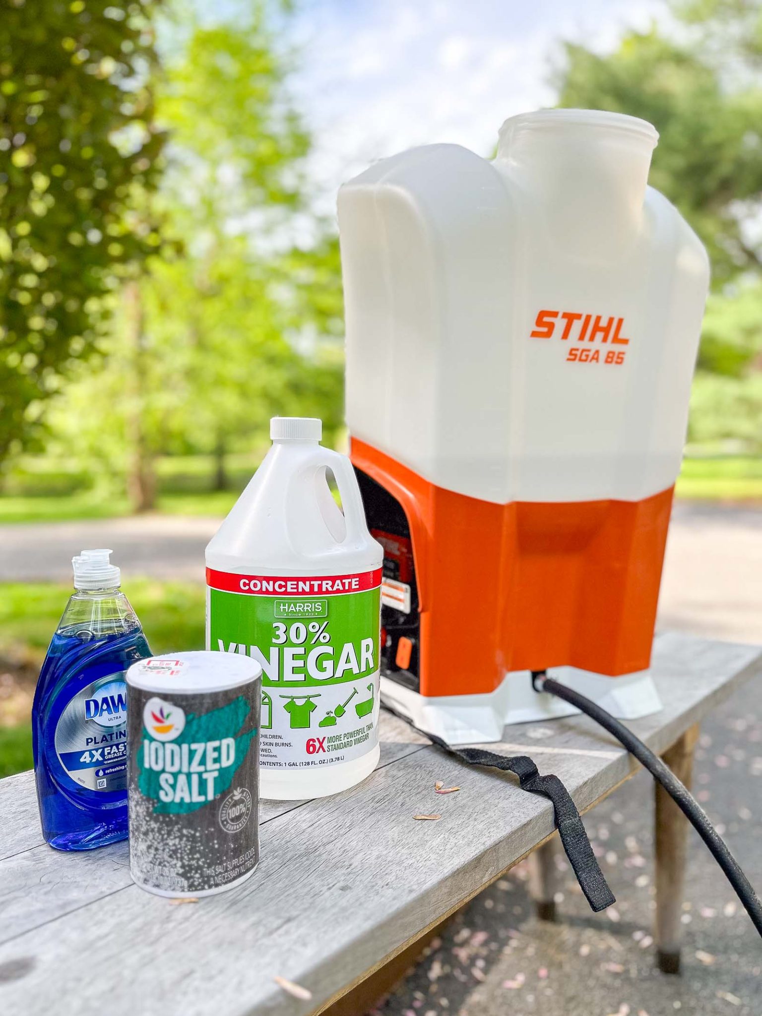 3 Ways to Use a Pump Sprayer in Your Yard - At Charlotte's House