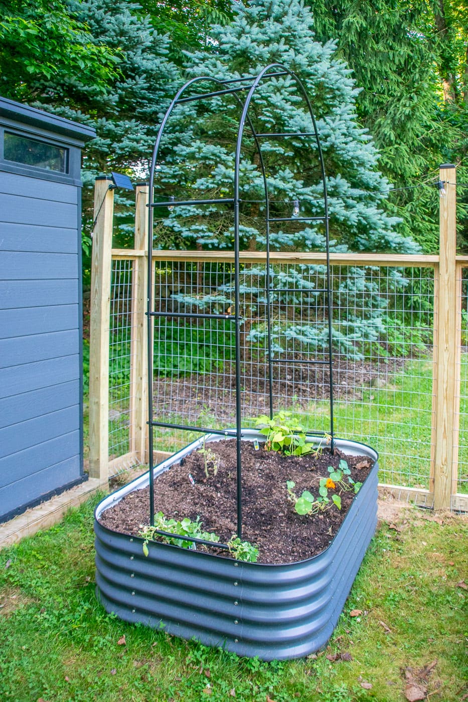 Step-by-Step Guide to Building a DIY Raised Vegetable Garden with ...