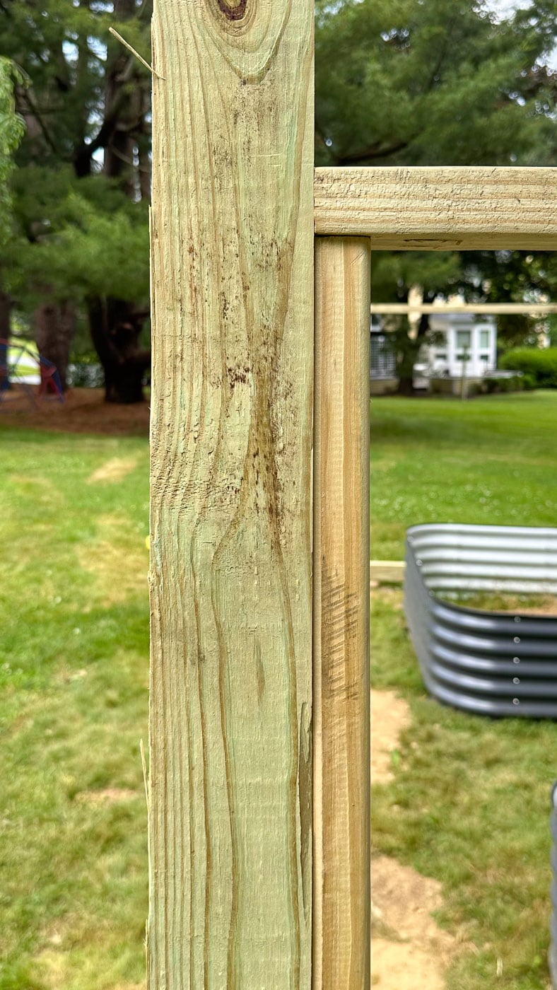 Step-by-Step Guide to Building a DIY Raised Vegetable Garden with ...