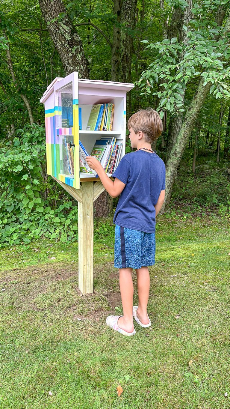 How to Build A Little Free Library - At Charlotte's House