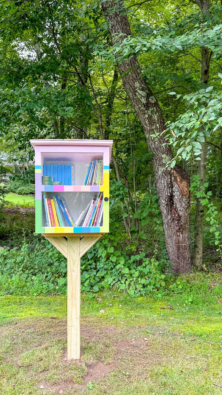 How to Build A Little Free Library - At Charlotte's House
